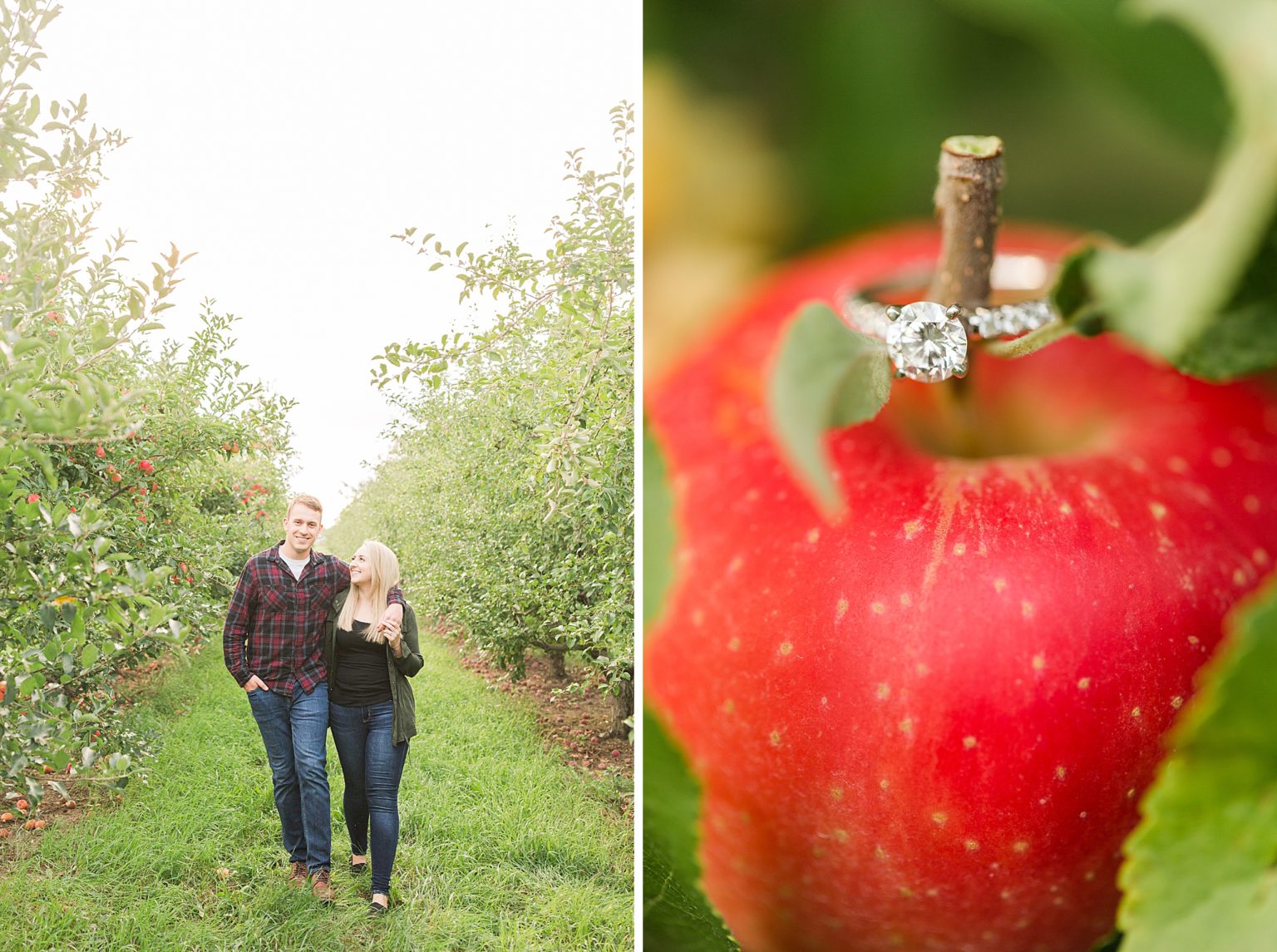 Apple Orchard Engagement Session | Marissa & Paul | Portraits by Mandy